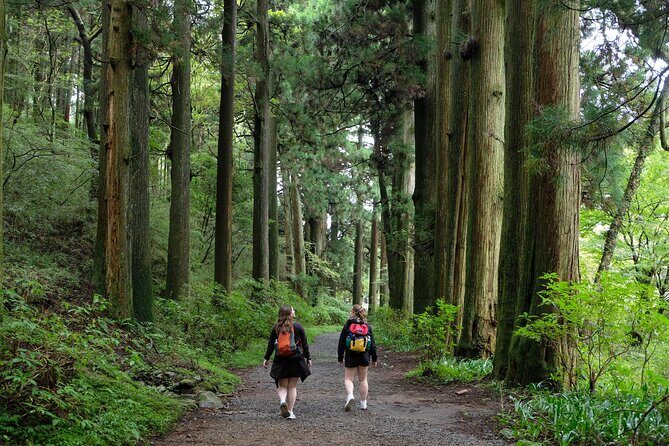 Hike Japan Heritage Hakone Hachiri (Half Day) - Authentic Experiences and What Travelers Say