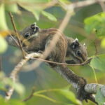 Hike the Heart of Cat Ba National Park Trekking, Biking, Kayaking - Transportation and Practical Tips