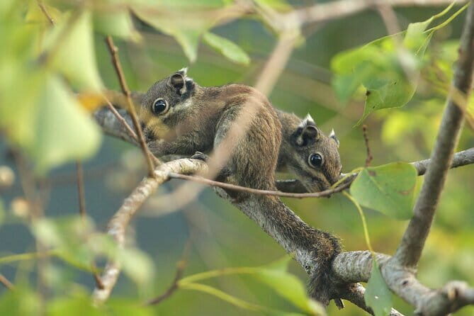 Hike the Heart of Cat Ba National Park Trekking, Biking, Kayaking - Transportation and Practical Tips