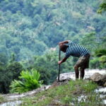 Hike to Heeloya Village Hike via Rangala - Detailed Breakdown of the Itinerary