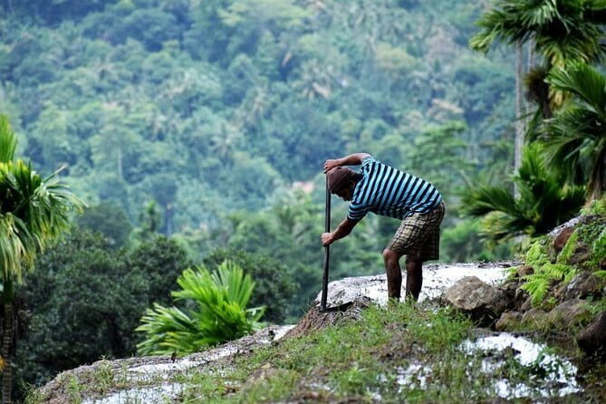 Hike to Heeloya Village Hike via Rangala - Detailed Breakdown of the Itinerary