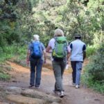 Hike to Horton Plains Border via Rail Tracks - The Vintage Charm of Rail Tracks and Tunnels