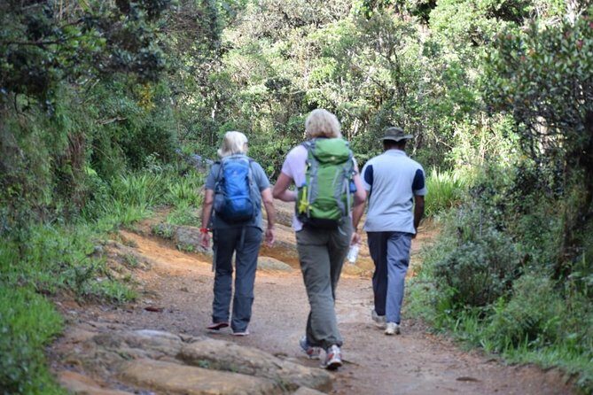 Hike to Horton Plains Border via Rail Tracks - The Vintage Charm of Rail Tracks and Tunnels