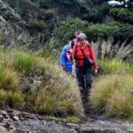 Hike to Kirigalpotta Mountain Via Horton Plains National Park - What Makes This Tour Stand Out?