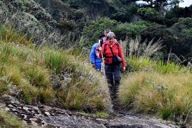 Hike to Kirigalpotta Mountain Via Horton Plains National Park - What Makes This Tour Stand Out?
