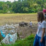 Hike to Peacock Hill from Kandy - What Travelers Might Find Challenging
