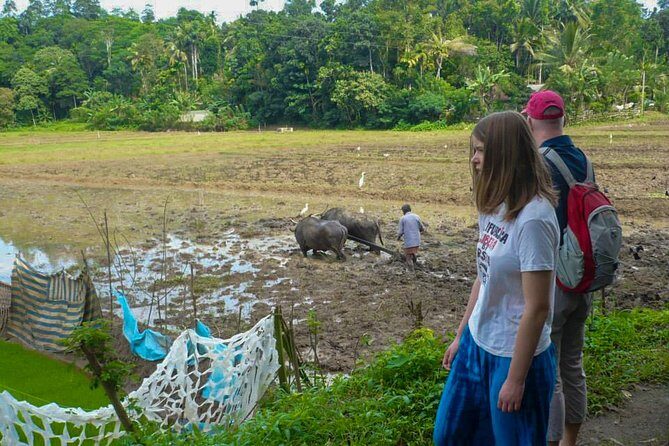 Hike to Peacock Hill from Kandy - What Travelers Might Find Challenging
