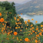 Hiking Experience to World Peace Stupa and Car Pick up - Analyzing the Value