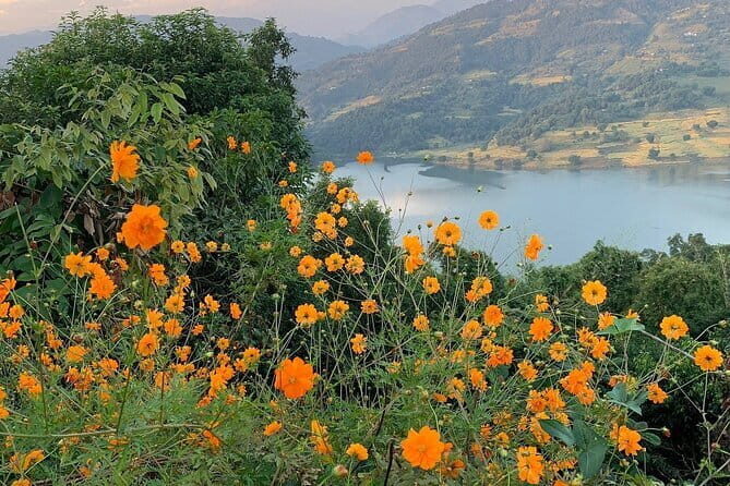 Hiking Experience to World Peace Stupa and Car Pick up - Analyzing the Value