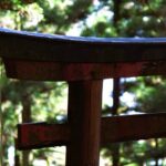 Hiking Kyoto's Highest Mountain: Unravel the Mystery of Mt. Atago - Who Will Love This Tour?