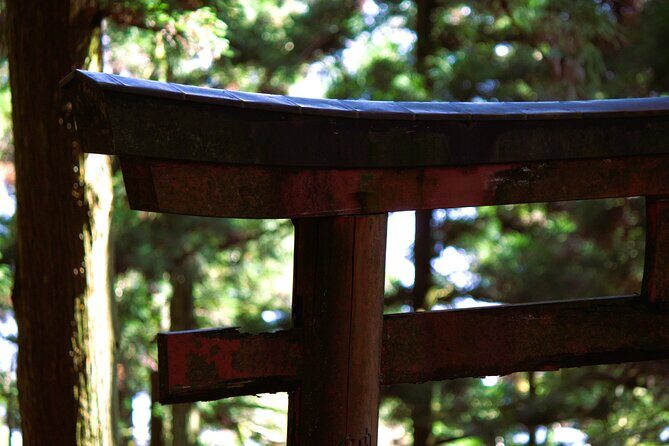 Hiking Kyoto's Highest Mountain: Unravel the Mystery of Mt. Atago - Who Will Love This Tour?