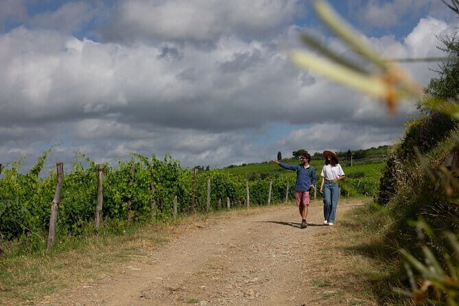 Hiking Tuscany & Chianti Wine - 3 Organic Wineries with lunch - The Value Proposition: Is It Worth the Price?