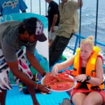 Hikkaduwa/Galle/Ahangama: Whale Watching Tour in Mirissa - Who Is This Tour Best For?