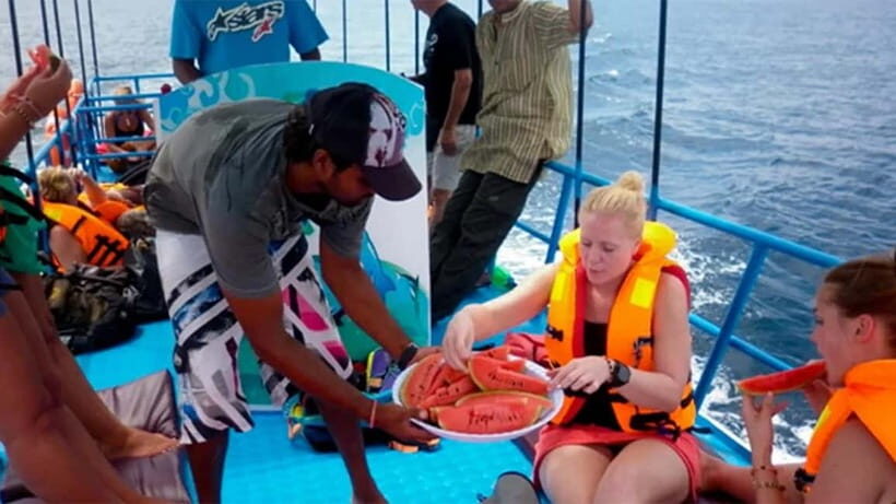 Hikkaduwa/Galle/Ahangama: Whale Watching Tour in Mirissa - Who Is This Tour Best For?