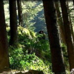 Himalayan Cottage Camping in Kasol (2n3d) - Who Should Consider This Experience?