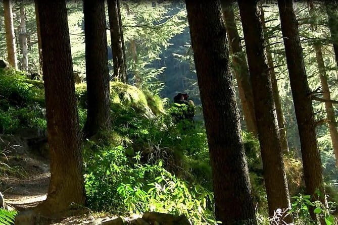 Himalayan Cottage Camping in Kasol (2n3d) - Who Should Consider This Experience?