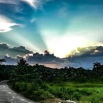 Hinterland Cycling Tour, Havelock - Authentic Experiences and Unique Sightings