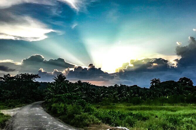Hinterland Cycling Tour, Havelock - Authentic Experiences and Unique Sightings