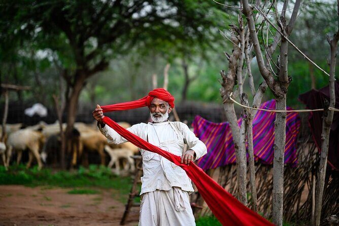 Hire Private Car with Driver For Golden Tringle Tour. - Day 3: The Magnificence of Taj Mahal and Historic Forts