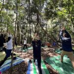 Hiroshima Local guided Hiking Tour&Open-air Tea Ceremony - Who Is This Tour Best For?