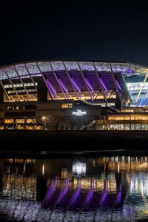 Hiroshima: Sanfrecce Hiroshima Football Game - Why This Tour Is Worth It