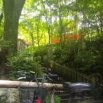 Hiroshima Scenic Cycling Guided Tour - Why You Should Consider This Tour