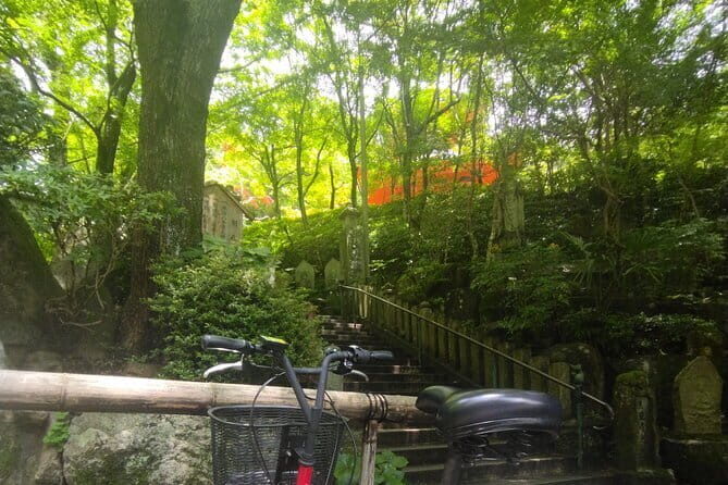 Hiroshima Scenic Cycling Guided Tour - Why You Should Consider This Tour