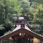 Historic and Natural Guided Hike in Yoshino - Who Will Love This Tour?