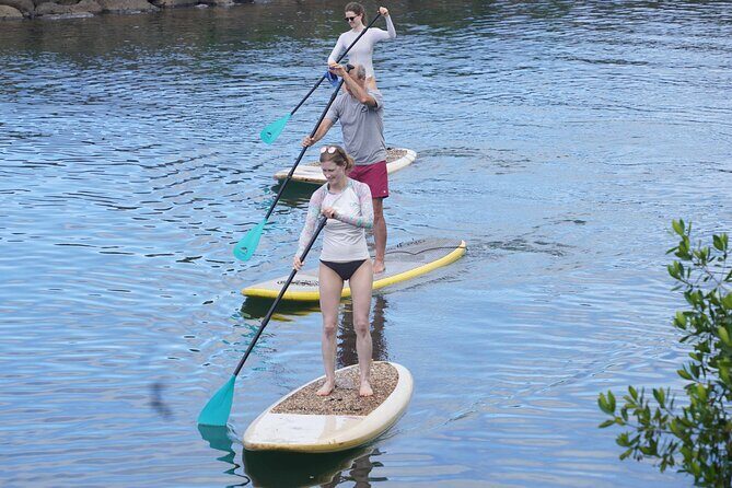 Historic Haleiwa Rainbow Bridge Stand Up Paddle (Anahulu River) - The Experience in Detail