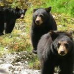 Historic Mail Route Tour - The Itinerary Breakdown