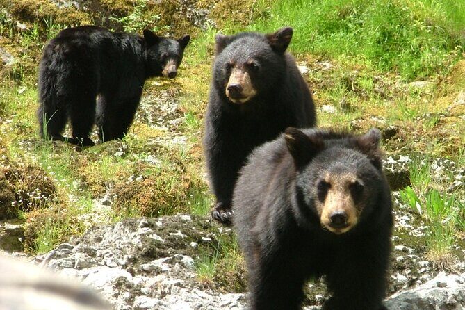 Historic Mail Route Tour - The Itinerary Breakdown