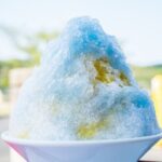 Historical and Cooling Tour of the Ancient Capital of Kyoto - Price and Value Analysis