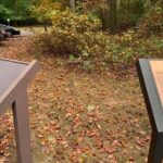 Historical Tour of Northern Virginia - An In-Depth Look at the Tour