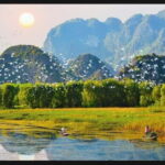 Ho Chi Minh: 2 Days Private Nam Cat Tien National Park - Day Two: From Crocodile Lake to Return Journey