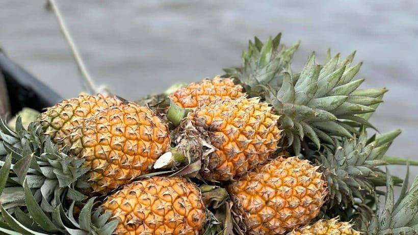 Ho Chi Minh: Authentic boat trip - Cai Rang Floating Market - Setting the Scene: A Day on the Mekong