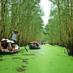 Ho Chi Minh: Can Gio Mangrove and Monkey Island - Opinion from Travelers and What Makes It Stand Out