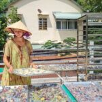 Ho Chi Minh City - 3 days/2nights Meditation Retreat - Detailed Breakdown of the Itinerary