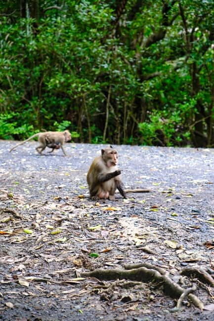 Ho Chi Minh City: Can Gio Mangrove & Wildlife Speedboat Tour - Practical Details and Value