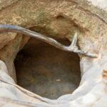 Ho Chi Minh: Cu Chi Tunnels and Mekong Delta Private Tour - What You Can Expect Throughout the Day