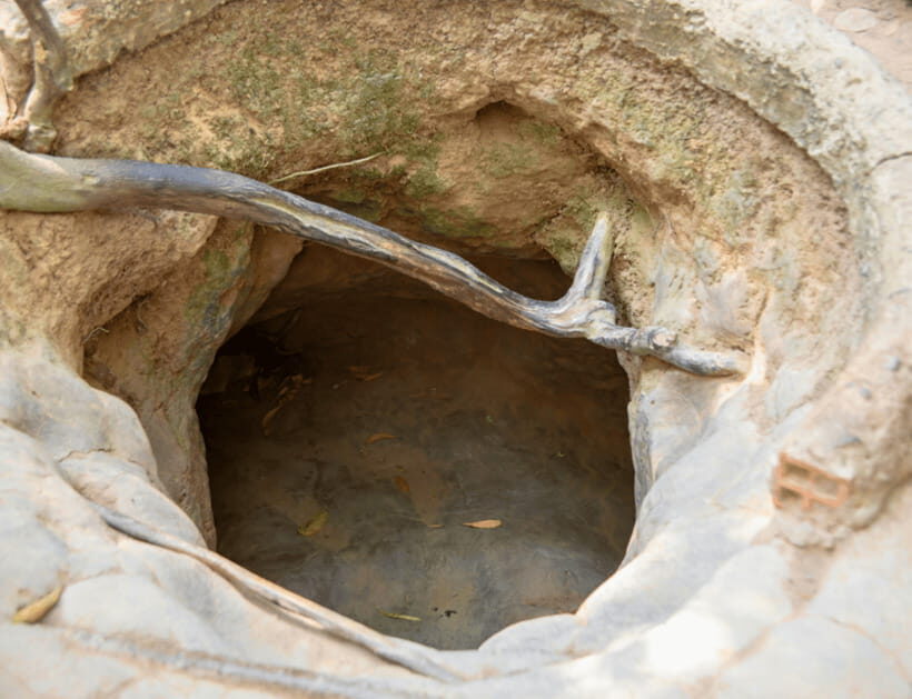 Ho Chi Minh: Cu Chi Tunnels and Mekong Delta Private Tour - What You Can Expect Throughout the Day