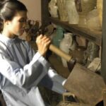 Ho Chi Minh: Fito Museum Admission Ticket - FAQ