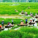 Hoa Lu - Tam Coc Deluxe Trip with Buffet Lunch - Who Is This Tour Best For?