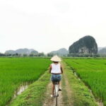 Hoa Lu - Tam Coc - Mua Cave 1 day trip - The Experience in Detail