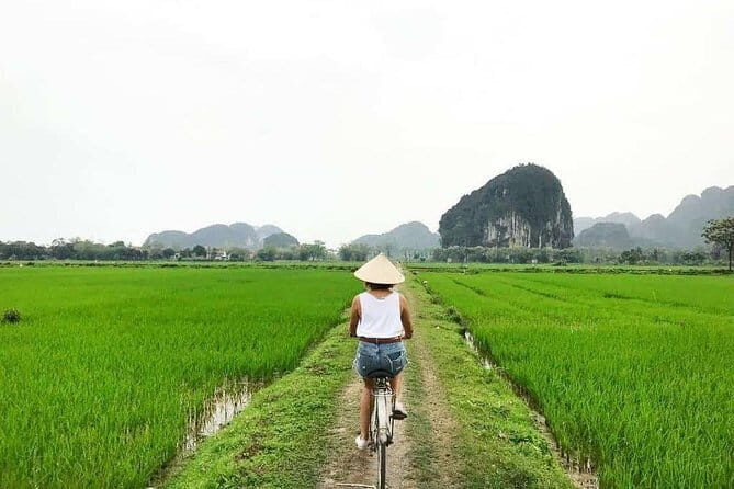 Hoa Lu - Tam Coc - Mua Cave 1 day trip - The Experience in Detail