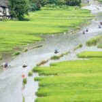 Hoa Lu- Tam Coc -Ninh Binh 1 day by Limousine bus small group - An In-Depth Look at the Tour