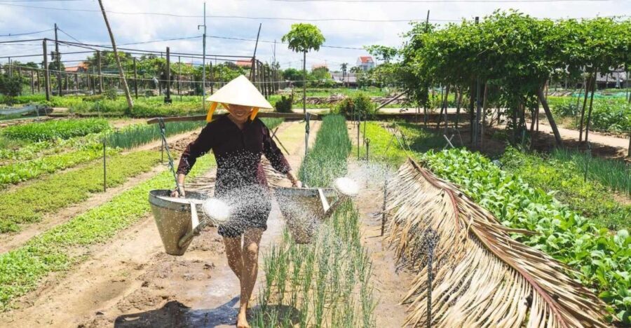 Hoi An: Authentic Cooking class in organic Herb Village - What’s Included and Practical Details