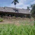 Hoi An cooking class - Why This Tour Is a Winner