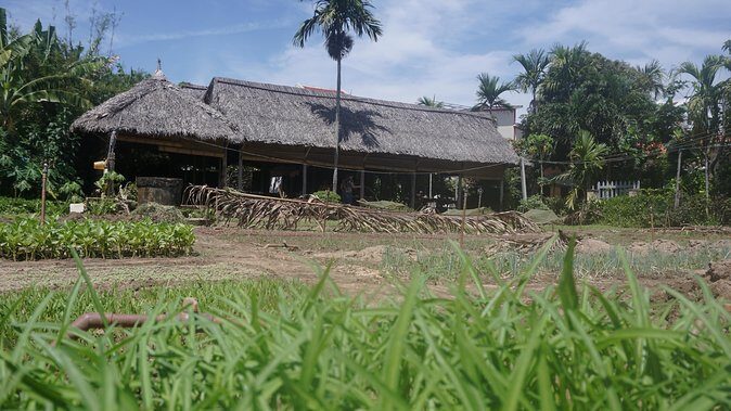 Hoi An cooking class - Why This Tour Is a Winner