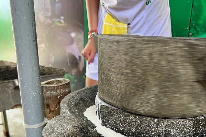 Hoi An cooking class with Basket Boat Tour - Who Should Book This Experience?