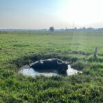 Hoi An countryside biking tour, water buffalo+ basket boat ride - Practical Considerations